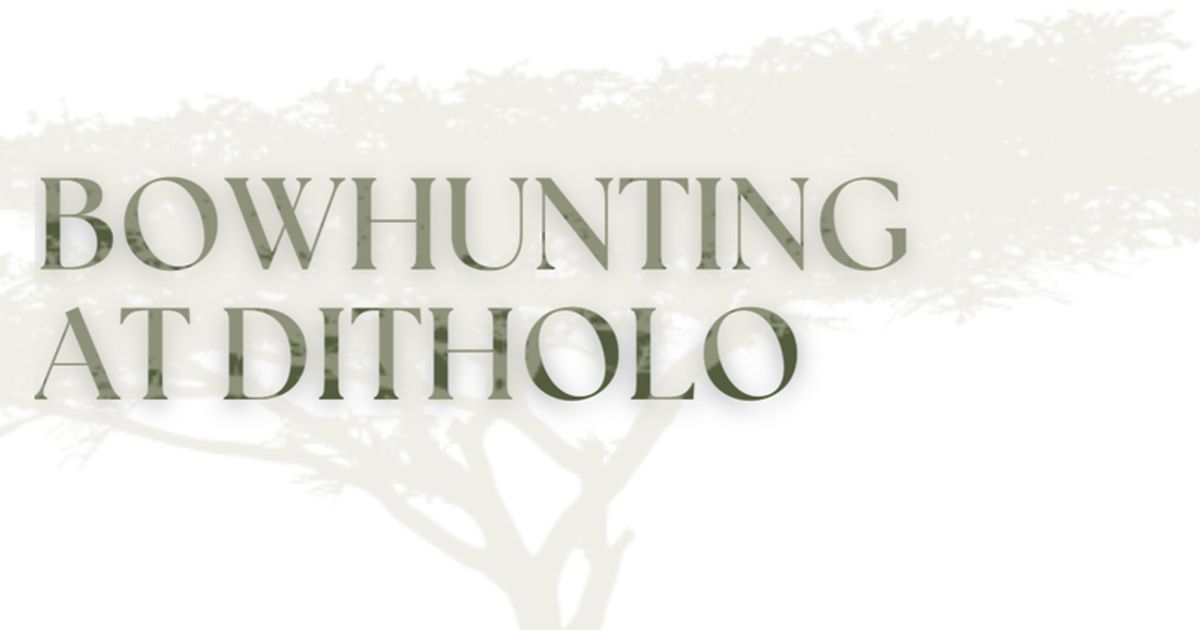Ditholo Hunting
